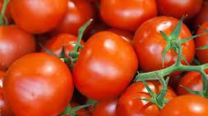 Tomato prices skyrocket to Rs 140/kg in South India due to rains | coastaldigest.com - The ...
